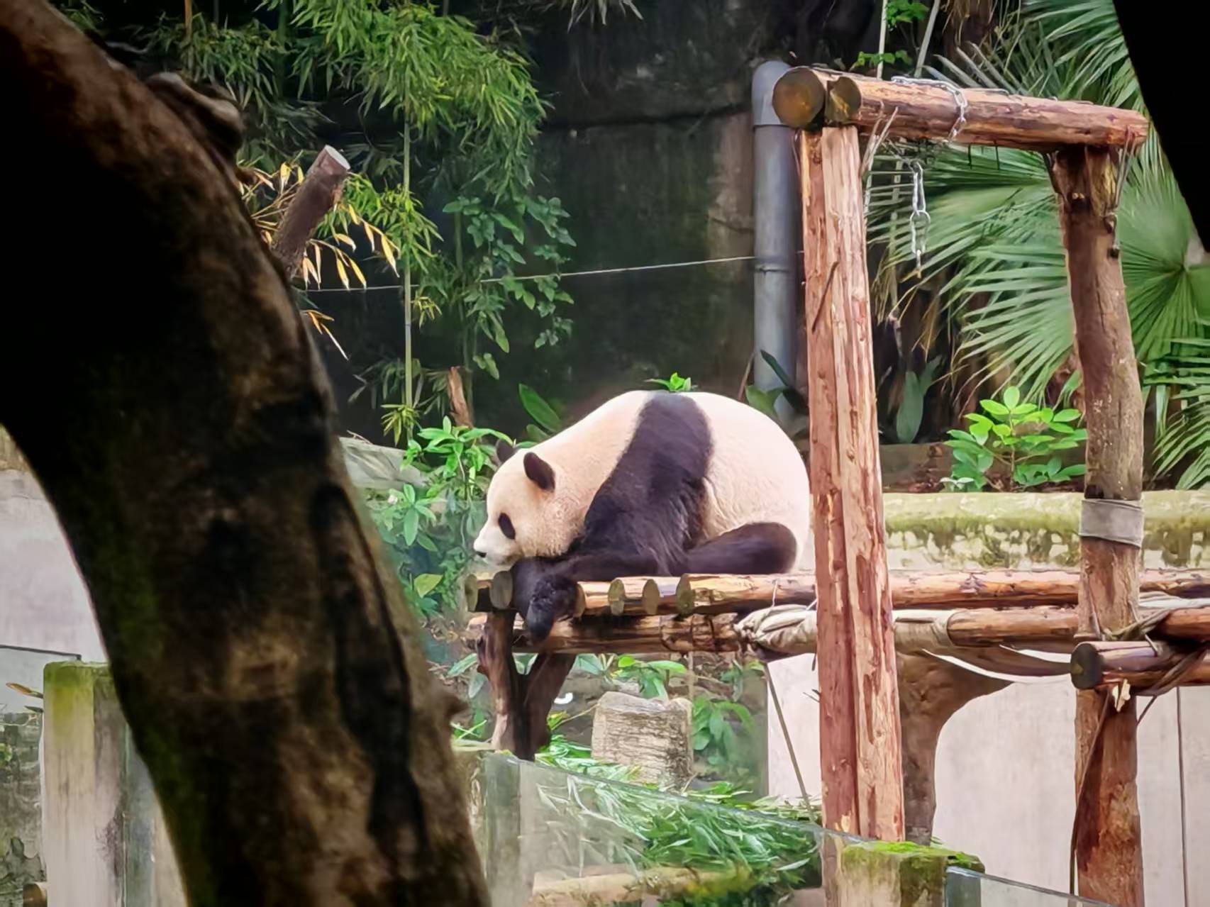 Hexo deploy 与 Github Actions 管理博客网页构建 | QBaymax's Blog